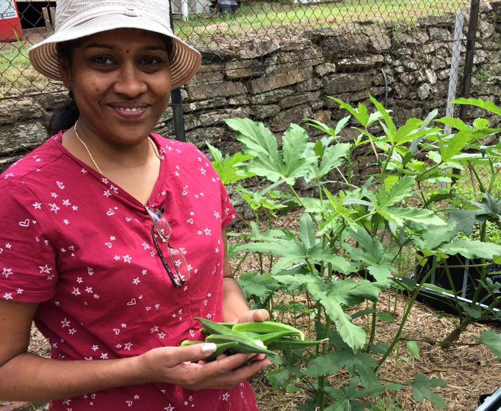 Urban farm with a mission