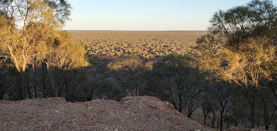 Skyscapes, opal seams and scrub solitude